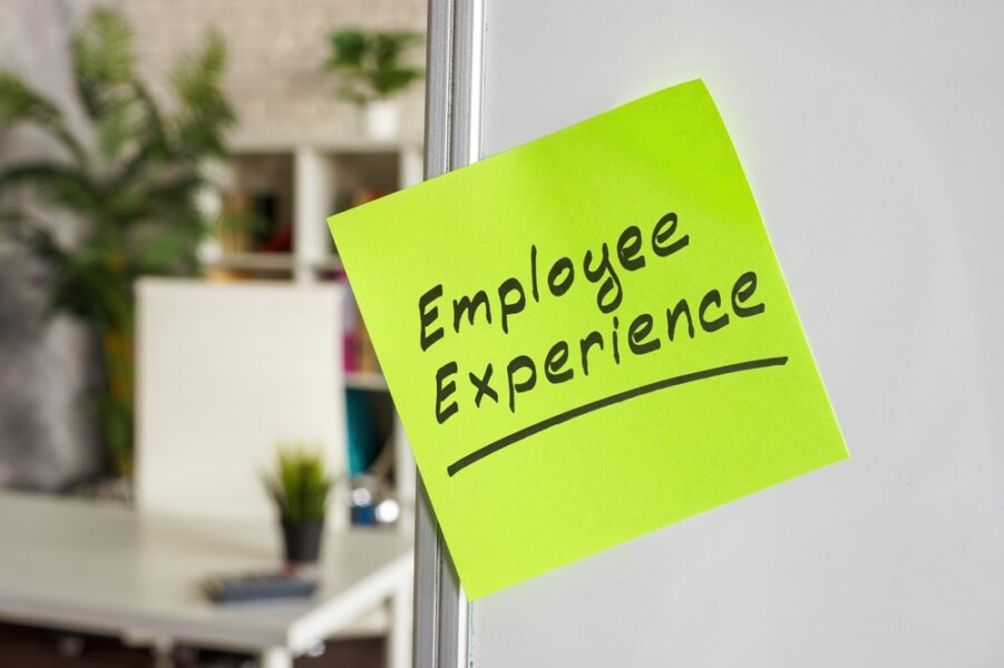 How to Optimize Employee Experience in 2024 - The Black Diamond Agency